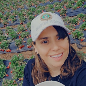 Mason Life Masonry Concrete Construction Building Cement Brick Stone ...