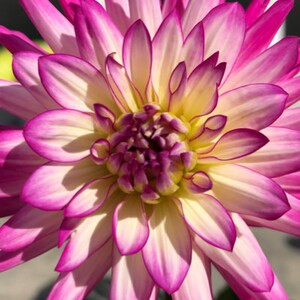 Sitting Cat Sculpture, Handmade Copper Miniature, Collectible Art, Cat ...