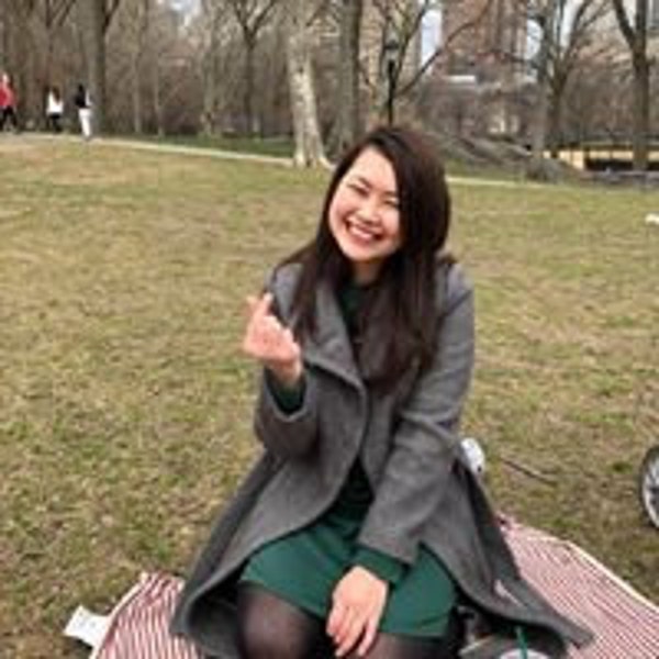 APPLE LIFE CYCLE 10 Montessori Cards Large Size A1 Flash Cards ...