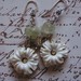 WhiteWave - Etsy