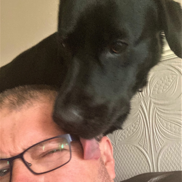 Powderfinger Internationalist Original 1998 CD Album Vintage Music Pop ...