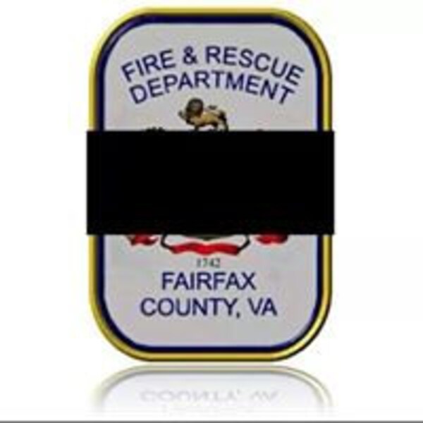 BOSTON AMERICANS Baseball Team 1901 Vintage Photo Print, Ready to Frame ...