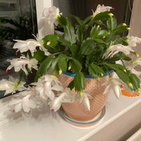 Philippines Art Print A4 Size Hand Drawn Illustration, Gouache Print, Wall Art, Painting Print ...