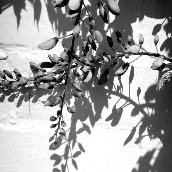 African Beadwork Inspired Cross Stitch Pattern, Cross Stitch Border ...