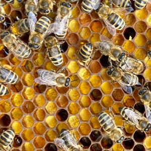 Astronaut Space Paper Craft Printable Community Helper Finger Puppet ...