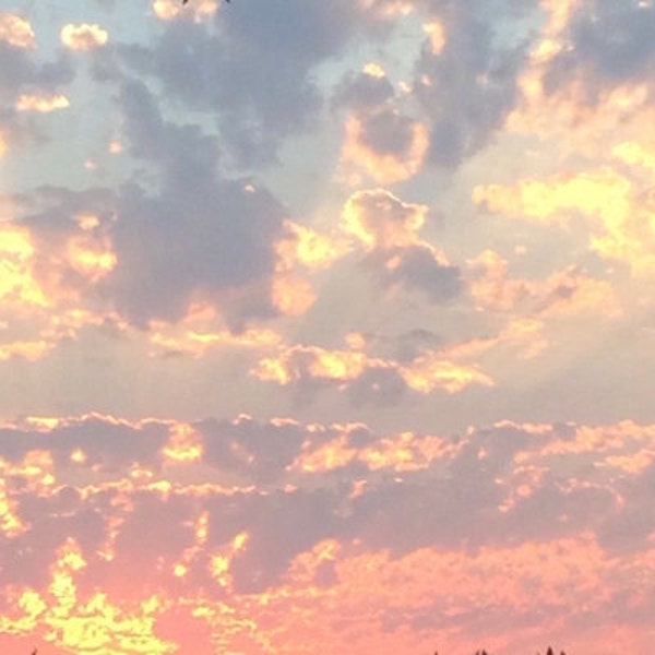 Go Beyond Plus Ultra Patch Made in USA 4 X 1.5 Anime Patch Hero Patch ...