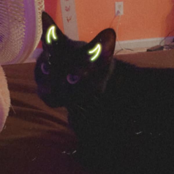 Nymph Portals Face Mask Cosplay Mask Super Glue Included fantastic Mask ...