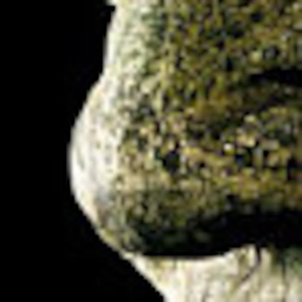 Avatar the Last Airbender Fabric, Appa Fabric by the Yard, Avatar ...