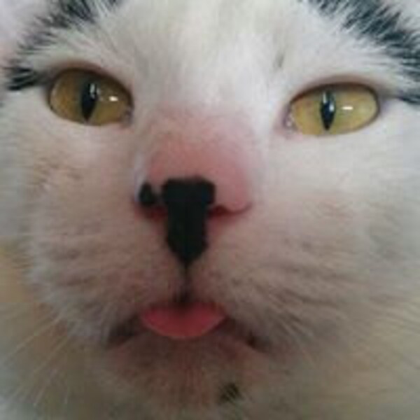 HAPPY SNOWMAN Water Resistant Vinyl Sticker Olaf Frozen Control ...