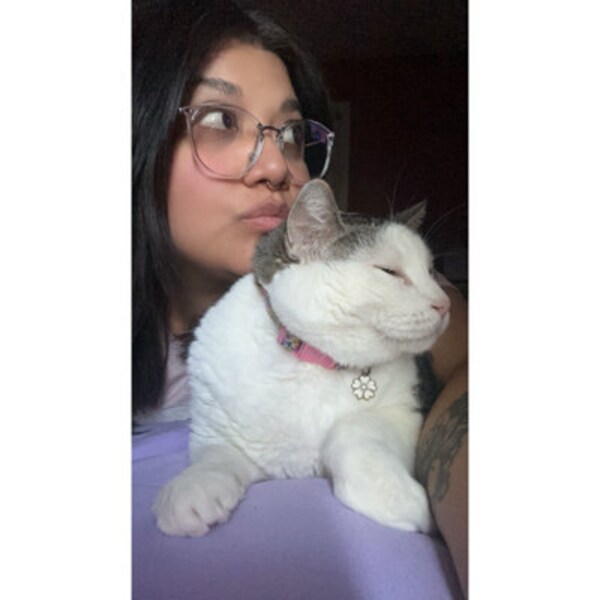 Dental Hygienist Sticker, Cute Dental Sticker, Dentistry Sticker, RDH ...