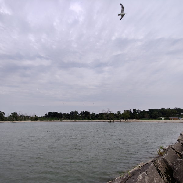 Philippines Art Print A4 Size Hand Drawn Illustration, Gouache Print, Wall Art, Painting Print ...