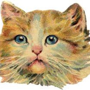 Construction Paper Digital Papers / Backgrounds for Personal and ...