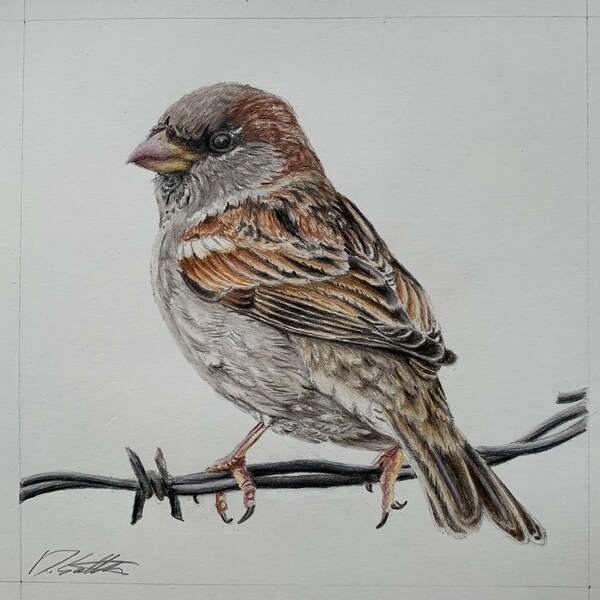 Big Natural Opal Oval Bark Leaf Engagement Ring, Opal Leaves Ring, Twig ...