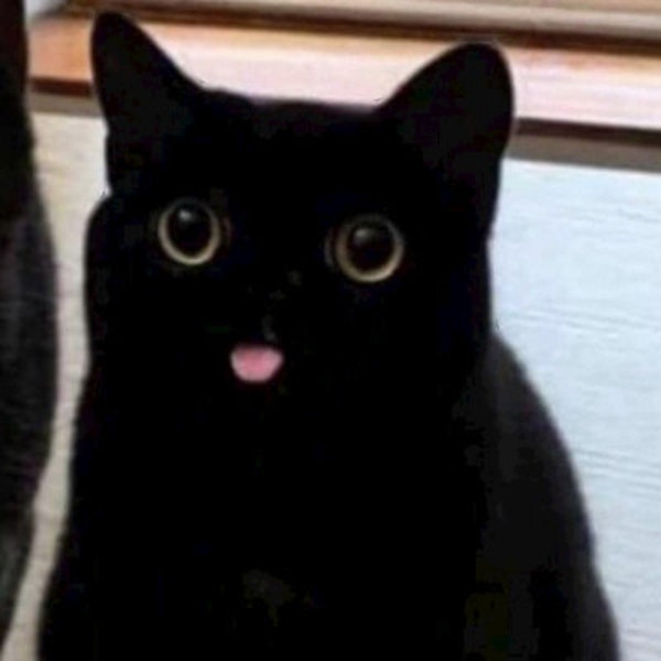 Simplicity 4156 C. 1895 Day Dress Sewing Pattern, Size 14, 16, 18, 20 ...