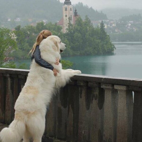 Silver Long Handled Powder Puff, Handmade With Opulent Sheepskin ...