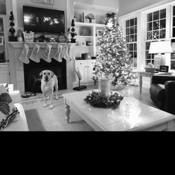 Boho Rainbow Welcome Back to School Sign Classroom Bulletin Board Boho ...