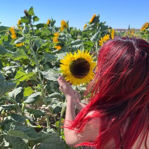 002 Zero Two Darling in the Franxx Horns IN STOCK - Etsy