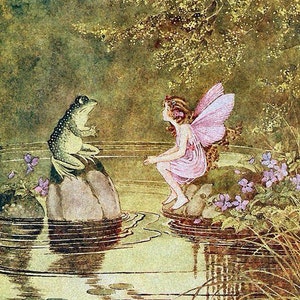 Bahamian Queen Conch Shell Light I Pink Conch Shell Night Light I SLIT ...