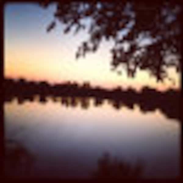 Tatsu Six Flags Magic Mountain, Roller Coaster Pin Badge, Bolliger and ...