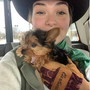 Parts of the Horses Western Saddle Horse Tack Equipment Label ...