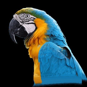 18 Inch Long Strand Beautiful Natural Chrome Diopside Faceted Rondelle Beads 3mm Chrome Diopside ...