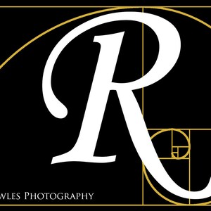 ICU Report Sheet - Etsy