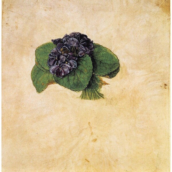 Datnoid Siamese Tiger Fish Vinyl Decal Sticker Aquarium - Etsy