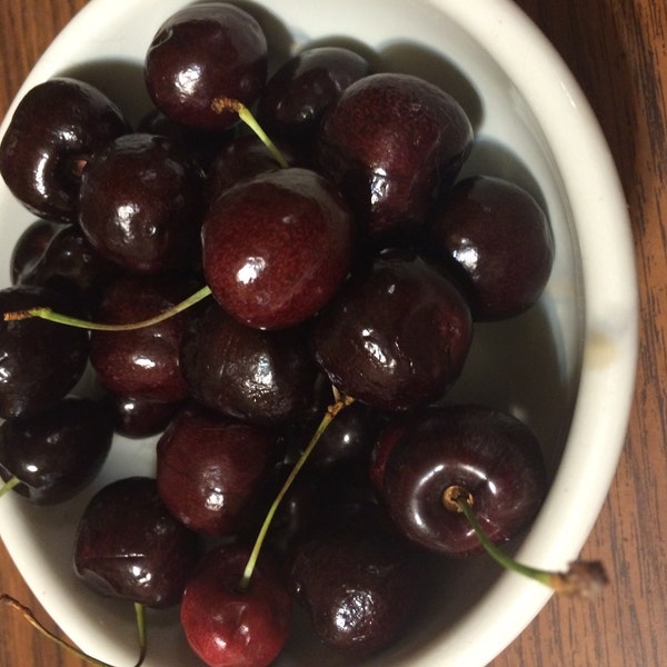 Yes I Read Books About Teenage Vampires Pinback Button Badge 1 1/2 Inch ...