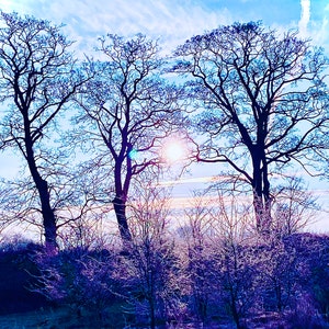 Curated Wall Art Blue Poster Set Color Theory Wall Art Blue Color ...