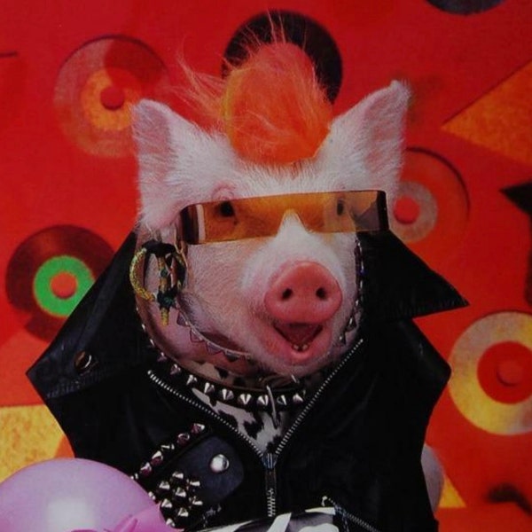 Vintage 80s HB107, WWHB Bumper Sticker, Hampton Bays/hamptons/long ...