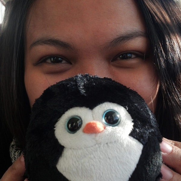 Animated Emote Kawaii and Adorable Grizzly Bear Getting Pressed on the ...