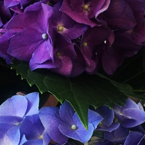 Leave No Trace Printable Activity for Kids forest School, Earth Day ...