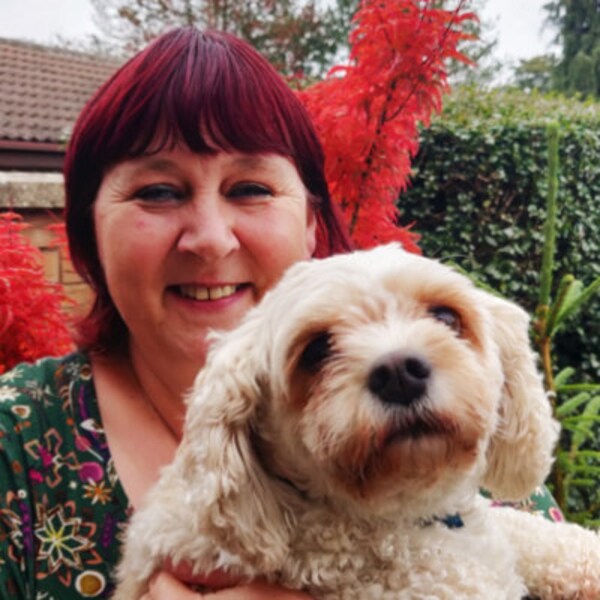 Dragon Felt PDF, SVG Pattern, Anime Ornament DIY Plush, Dragon Felt ...