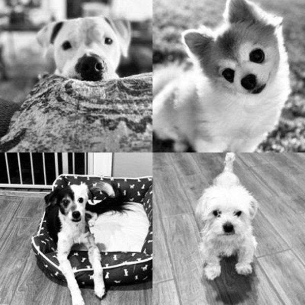 Personalized Military Birthday Party Shirt, Reporting for Duty Kids ...