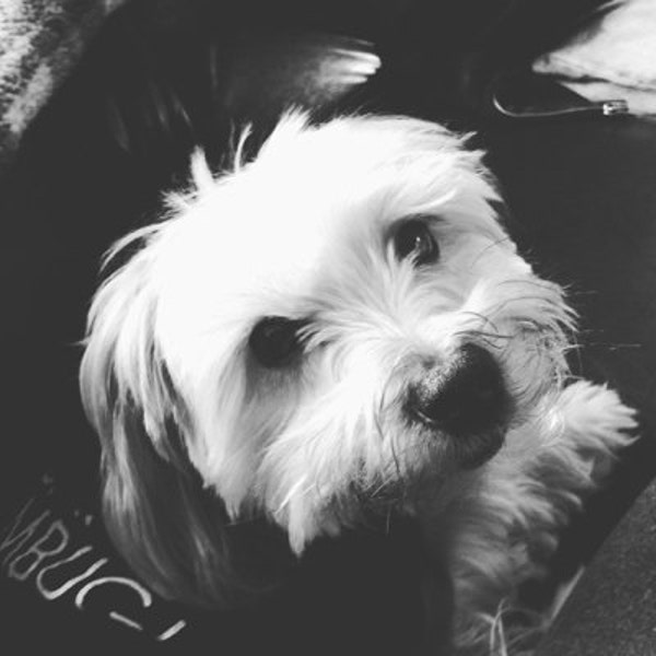 Old Red Barn Clipart Bundle 10 High Res Watercolor Jpgs for Junk Journaling, Scrapbooking, Paper ...