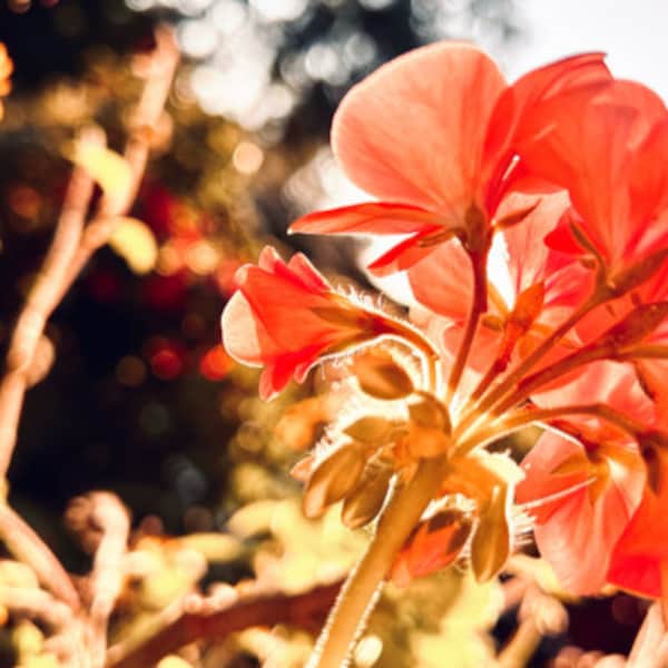 SHTDN Rpgmaker Goyou & Agape Shaker Acrylic Keychain - Etsy