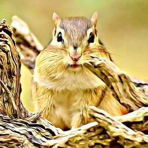 The Violet Backpack Pattern by Knot & Thread Designsquilted ...