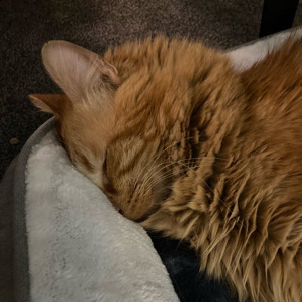 Final Fantasy Moogle Raid Animated Emote Discord, Twitch, Etc. - Etsy