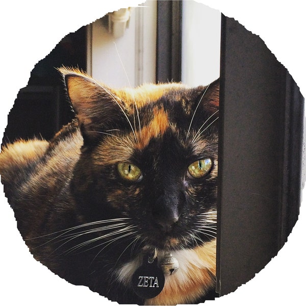 Aries Wall Art Zodiac Poster, Aries Art, Aries Gift, Aries Wall Art ...