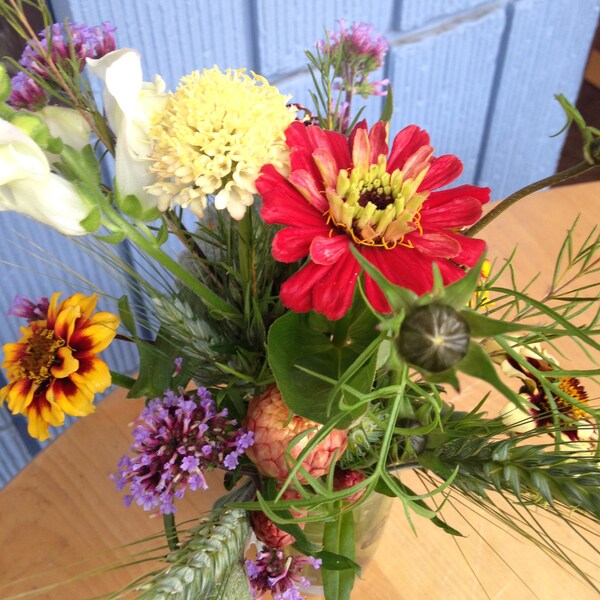 Pumpkin Unit Study, Pumpkin Anatomy and Life Cycle, Pumpkin Varieties ...