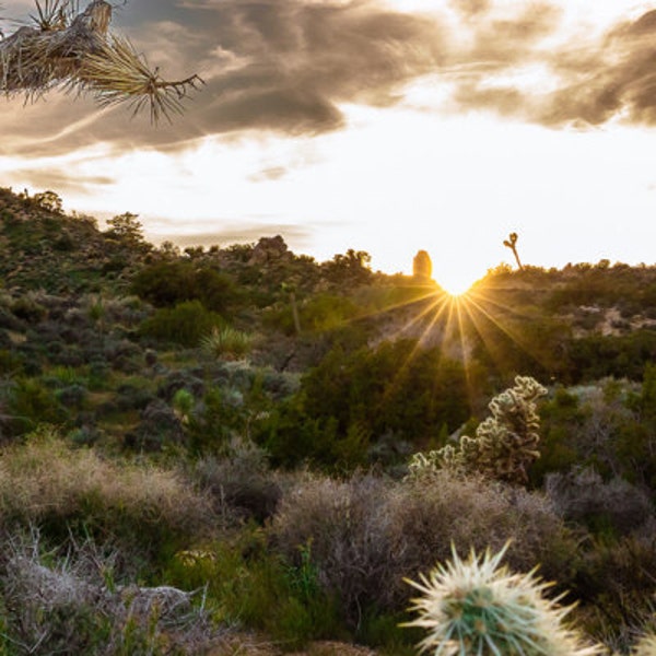 Dinosaur Printable Lacing Cards. Fine Motor Skills Tying Activity for ...