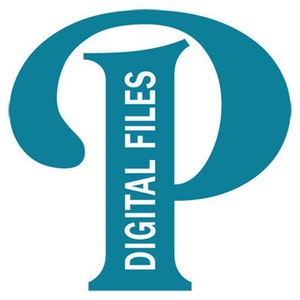 December Christmas Procreate Color Palette, Christmas Color Swatches ...