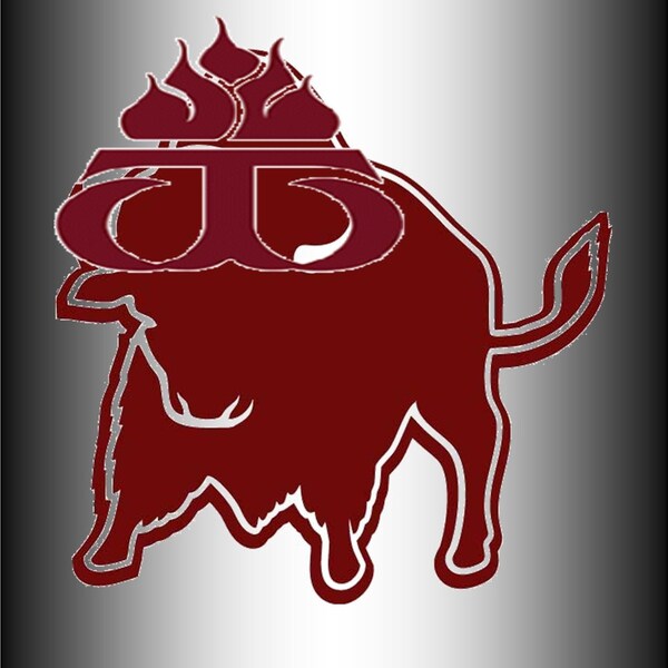 Texas State and Star Whiskey Ice Cube Tray Texas Silicone Cocktail Ice ...