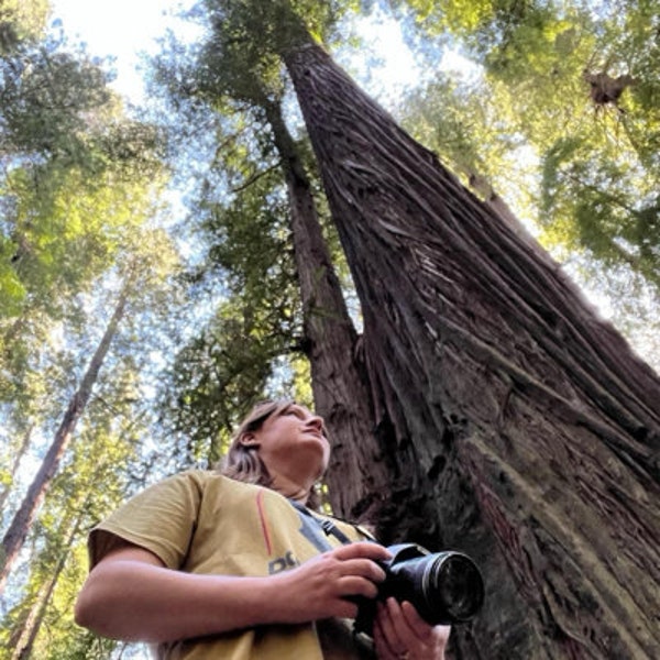 Jewish American Heritage Month Bulletin Board Set Jewish History and ...