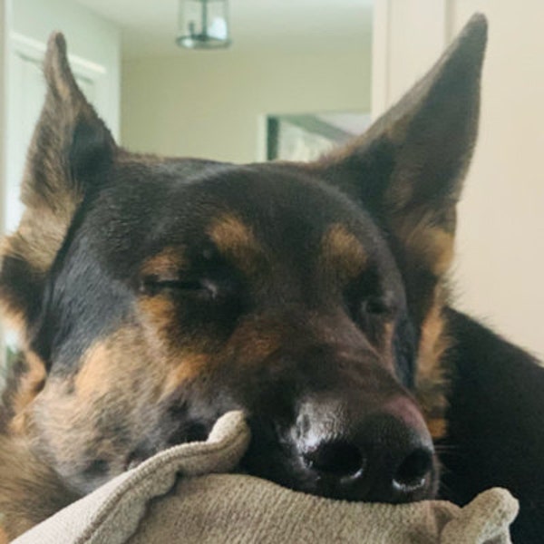 Lasenby Silhouette Cream on Cream Victoria From Liberty Fabric by Riley ...