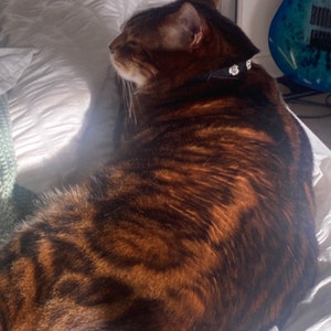 Simple Weekly Study Schedule Printable Set Weekly Revision Timetable ...