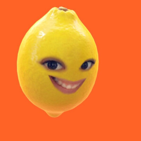 One Piece TCG Card Stand/wall Display Set of 6 - Etsy