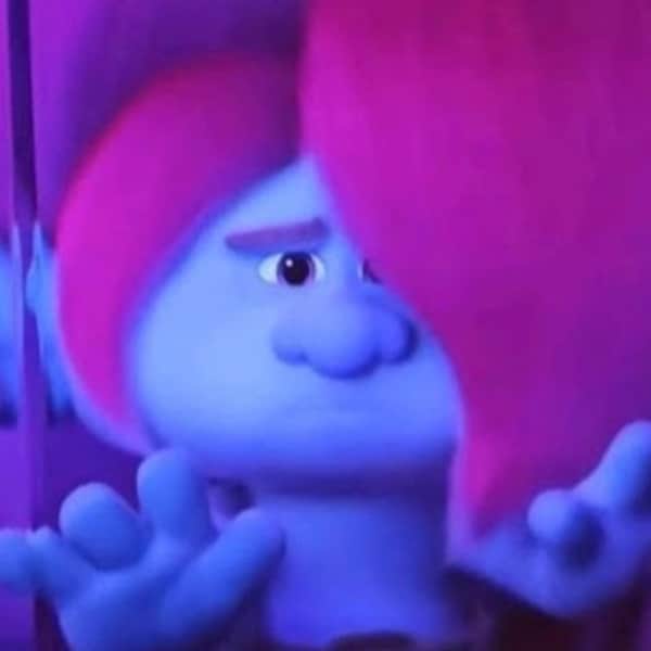 Trolls Poppy and Branch, Velvet and Veneer Stickers - Etsy