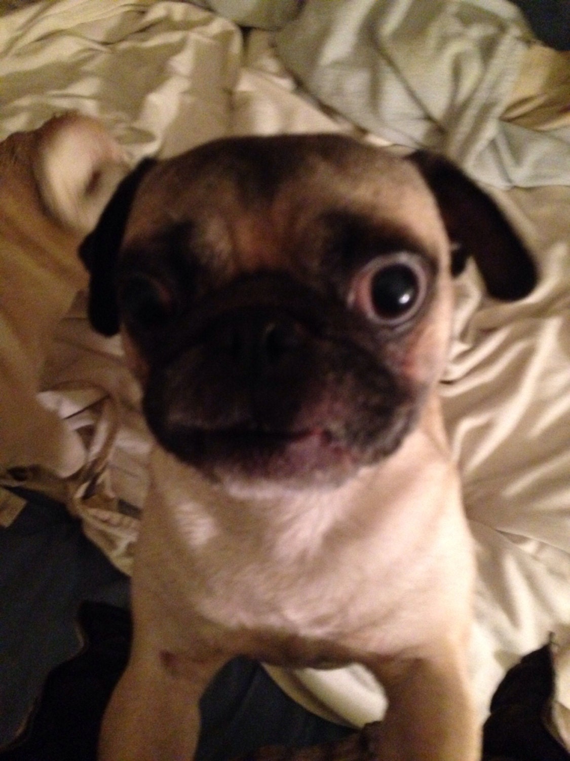 Bang You're Dead Tshirts by BangYoureDeadTshirts on Etsy