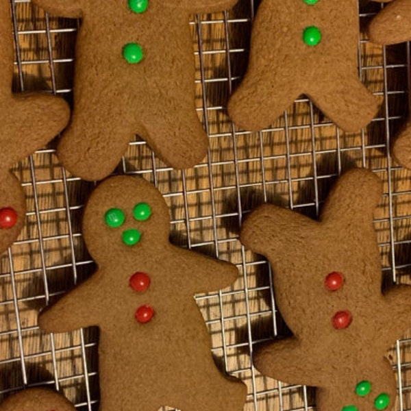 Sponge Bob Theme 25 Inch Raggedy Ann and Andy Dolls - Etsy